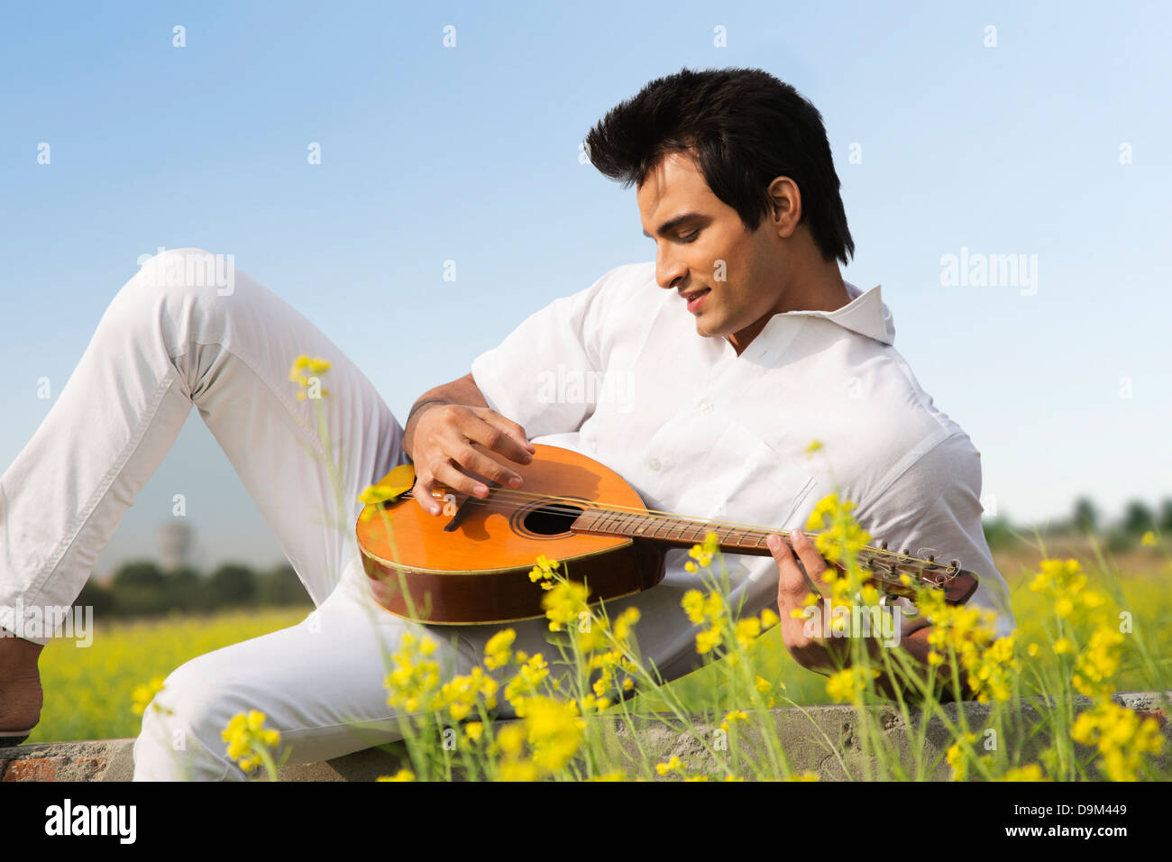 Indian mandolin hi-res stock photography and images - Alamy