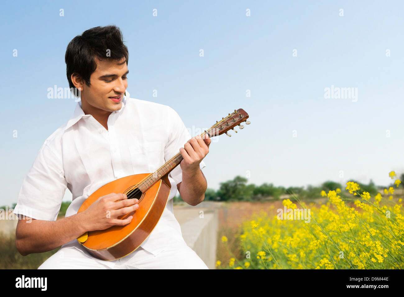 Indian mandolin hi-res stock photography and images - Alamy