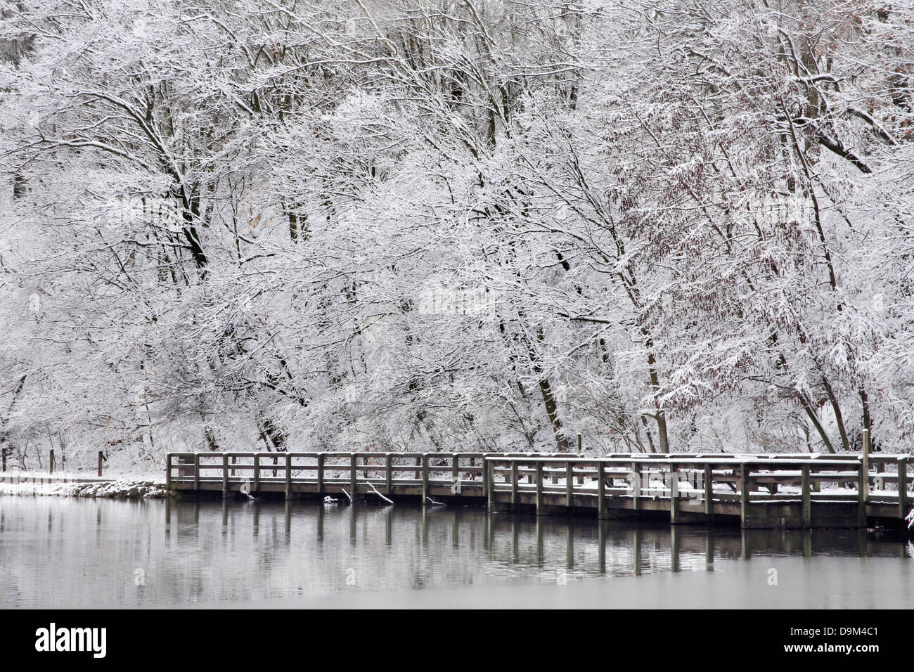 Snow Covered Trees, Path And Wooden Deck Along The Lake Shore During ...