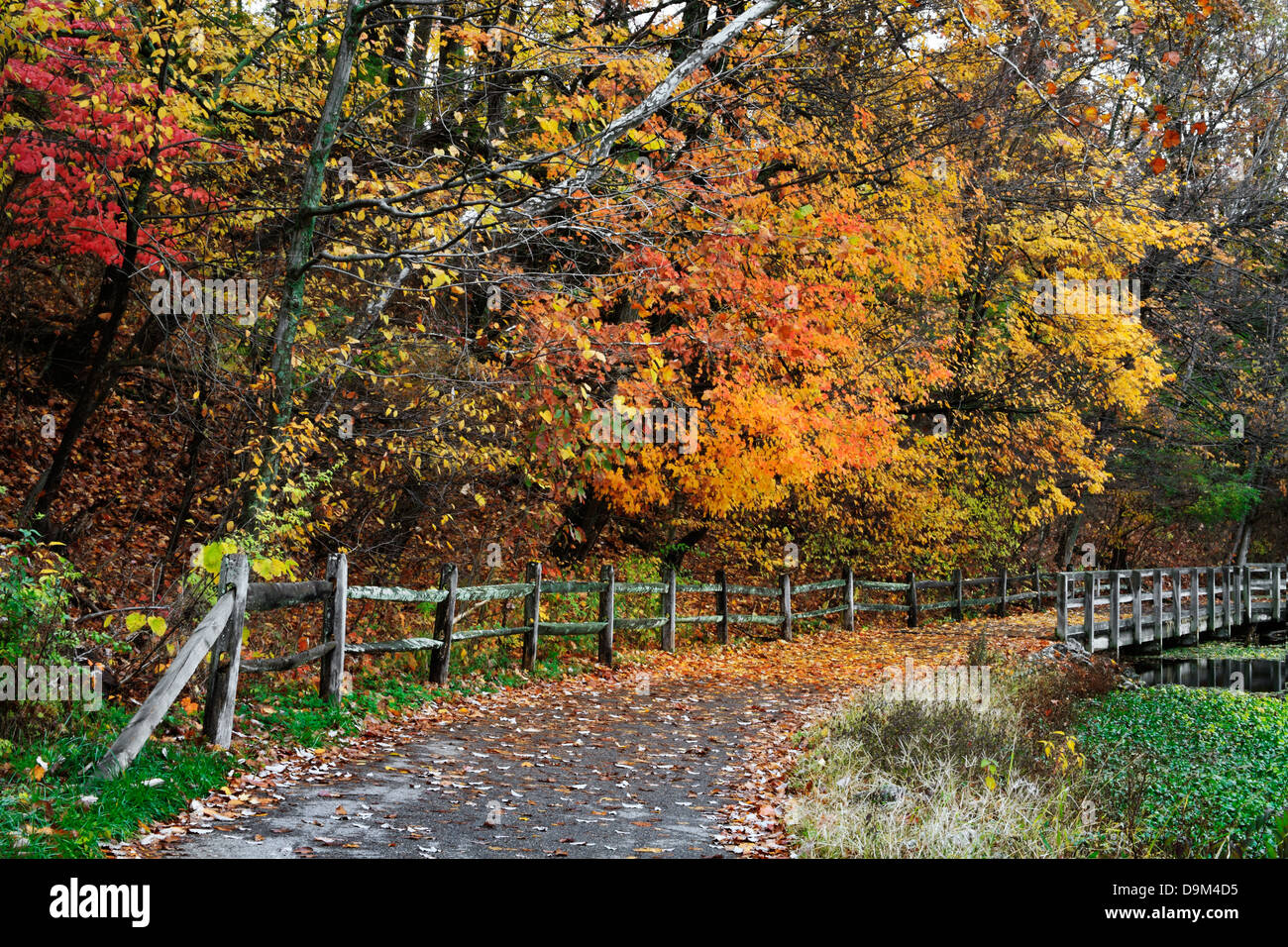 A Walking Path And Fence On A Rainy Day Amid The Brilliant Colors Of ...