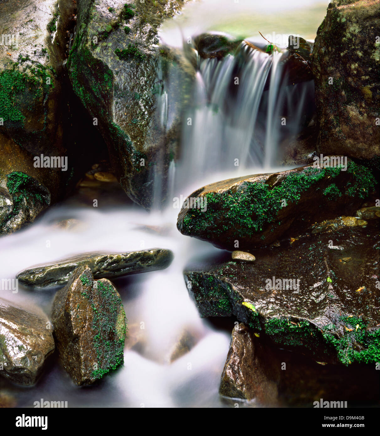 Water Over Rocks In The Great Smoky Mountains National Park Of ...
