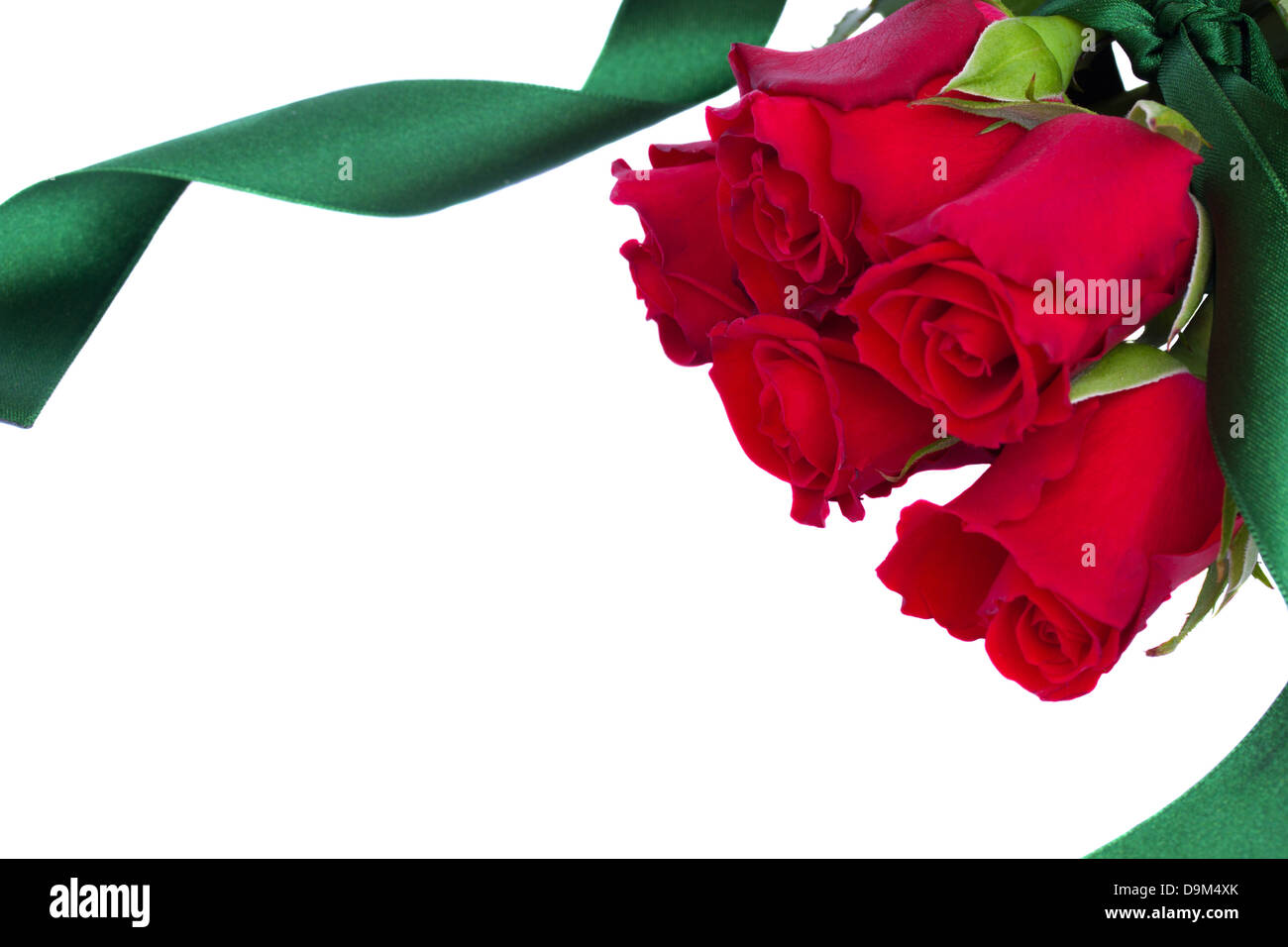 red roses with ribbon Stock Photo - Alamy