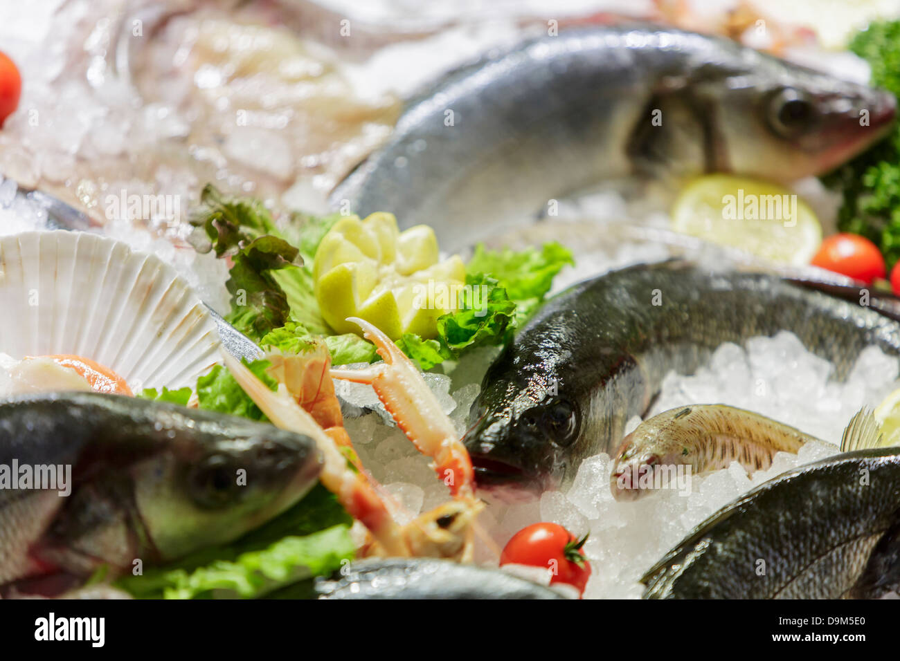 Frozen seafood display hi-res stock photography and images - Alamy