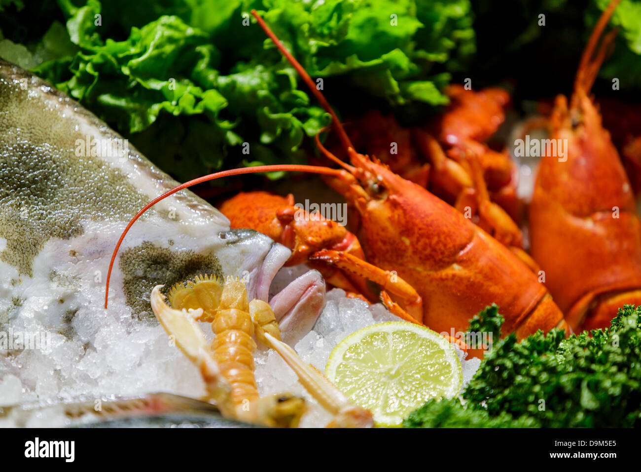 Frozen seafood display hi-res stock photography and images - Alamy