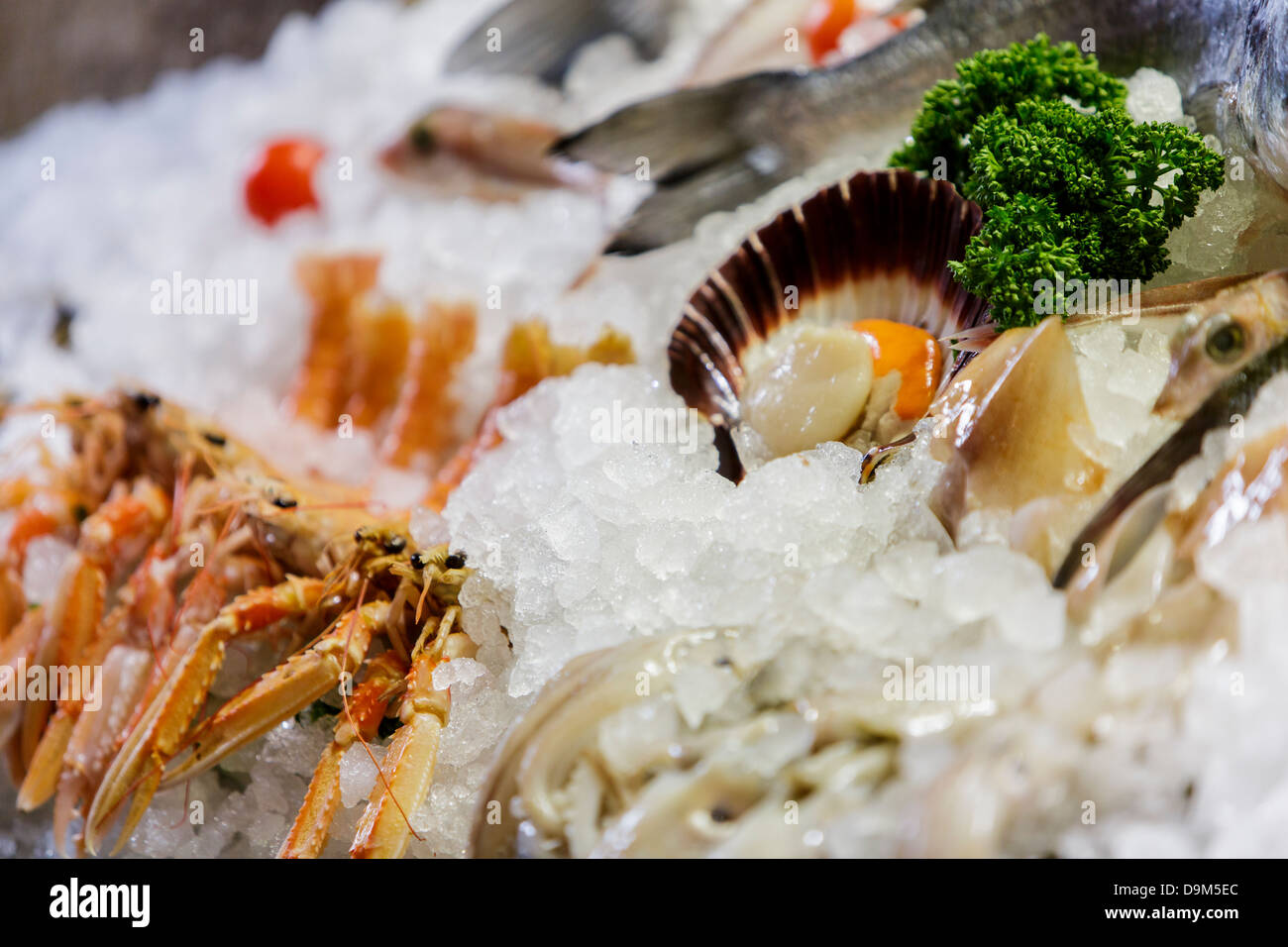 Frozen seafood display hi-res stock photography and images - Alamy