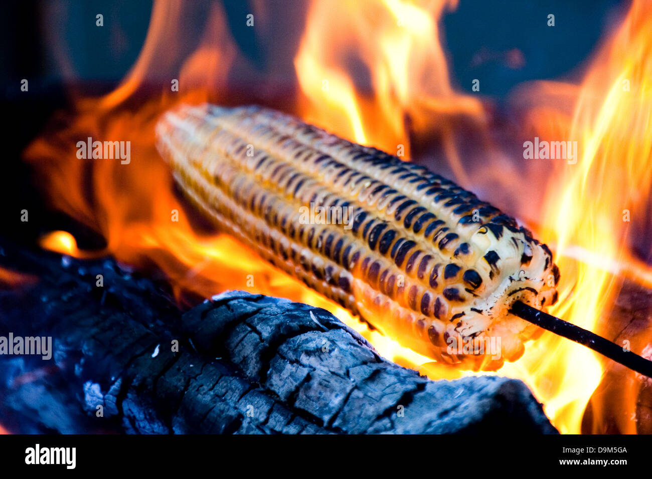 Sweetcorn stick hi-res stock photography and images - Alamy