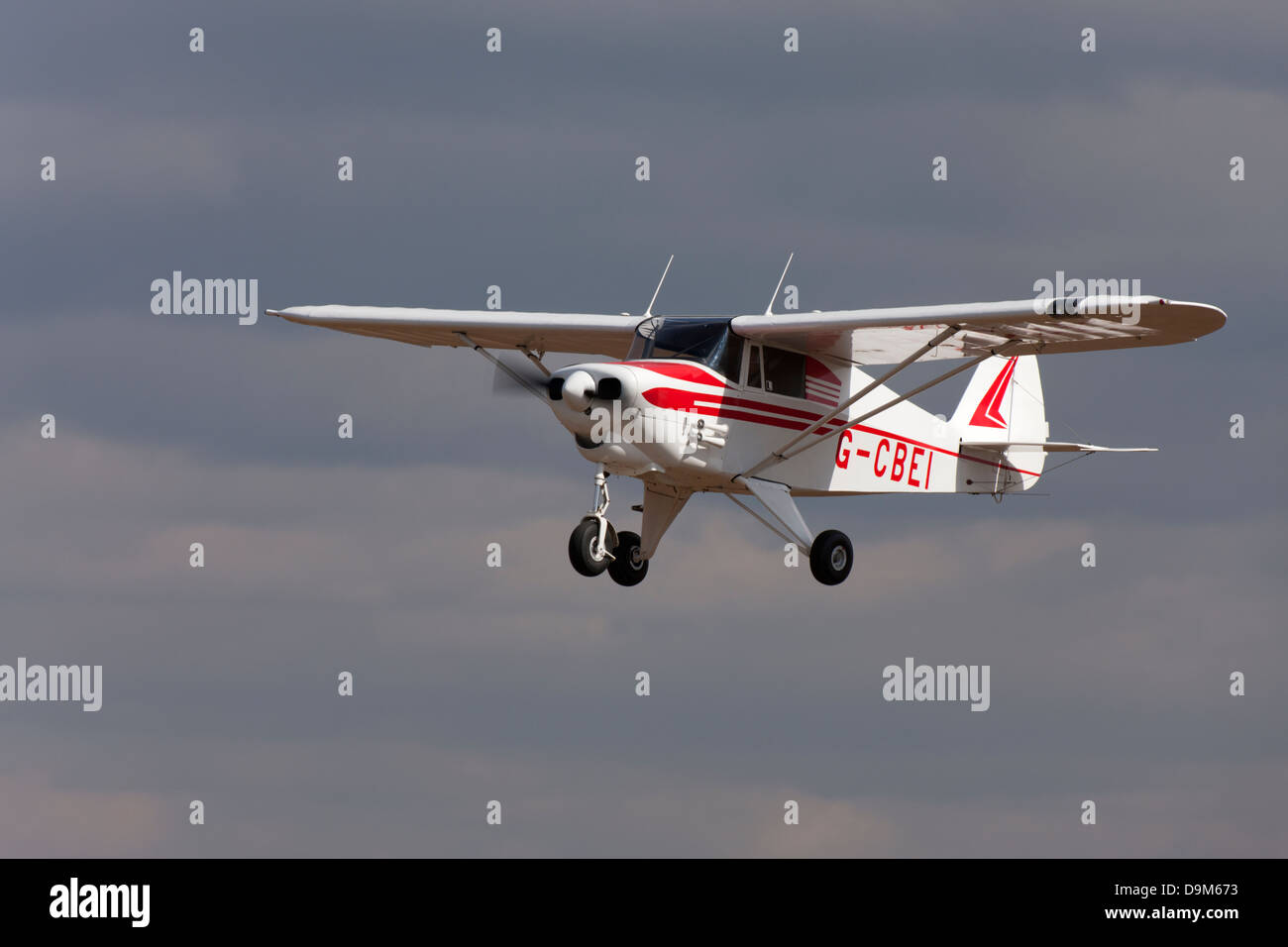 Piper colt hi-res stock photography and images - Alamy