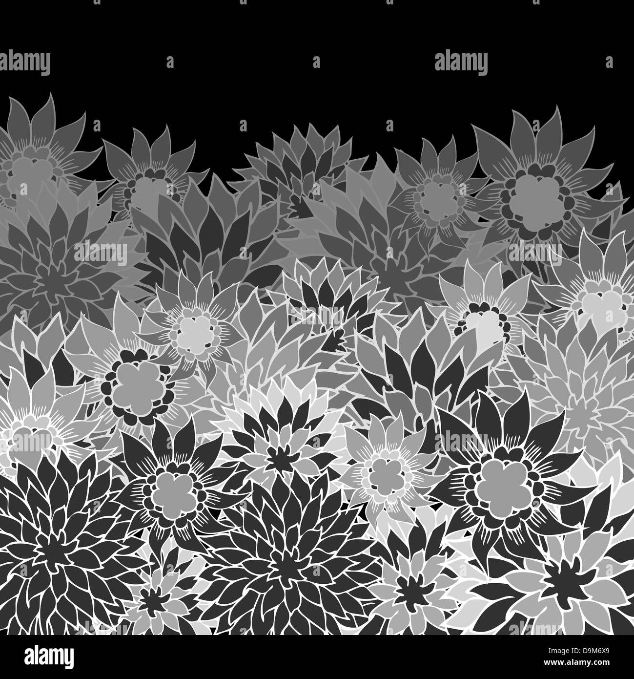 B;ack beauty Black and White Stock Photos & Images - Alamy