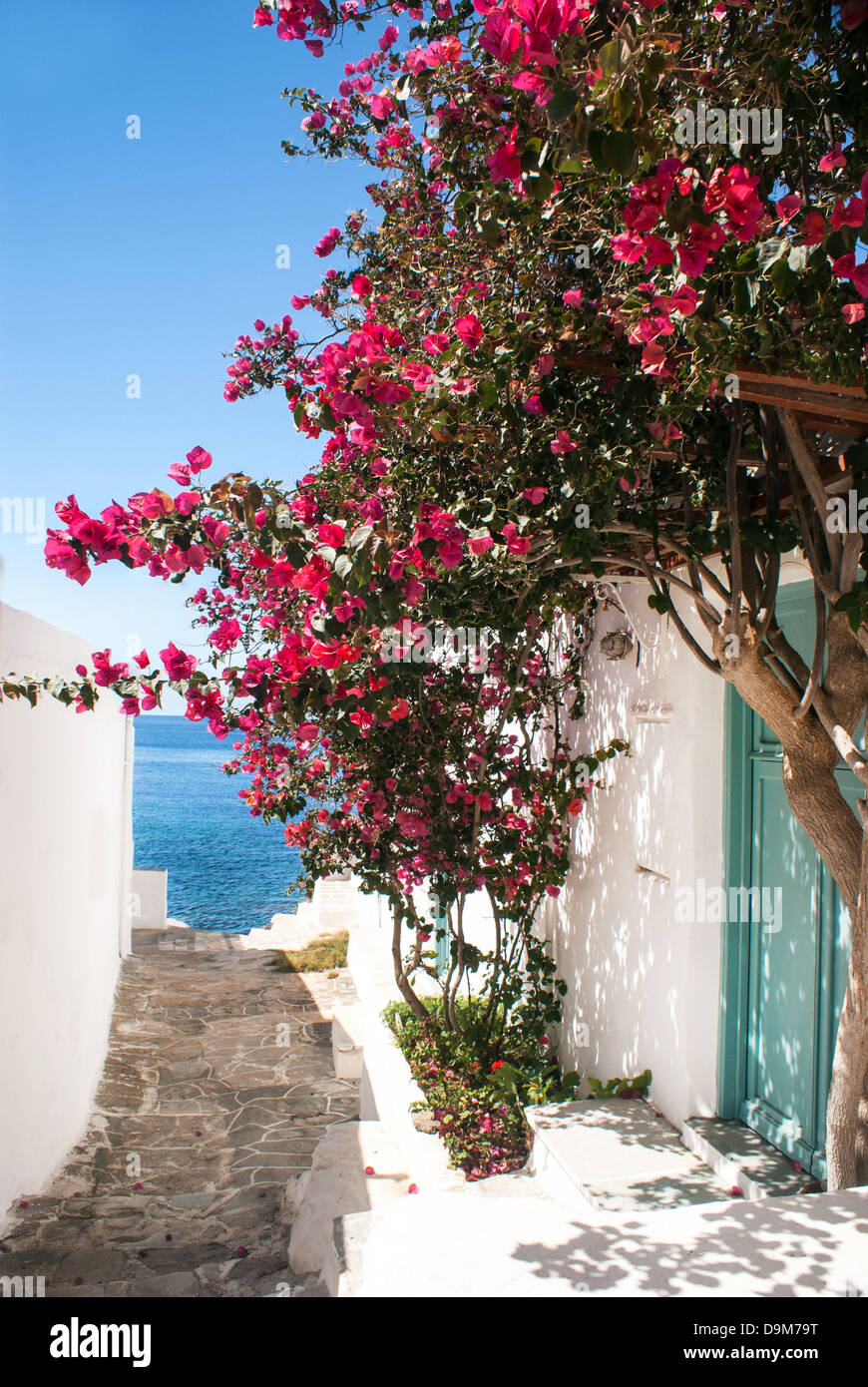 Traditional greek alley on Sifnos island, Greece Stock Photo - Alamy