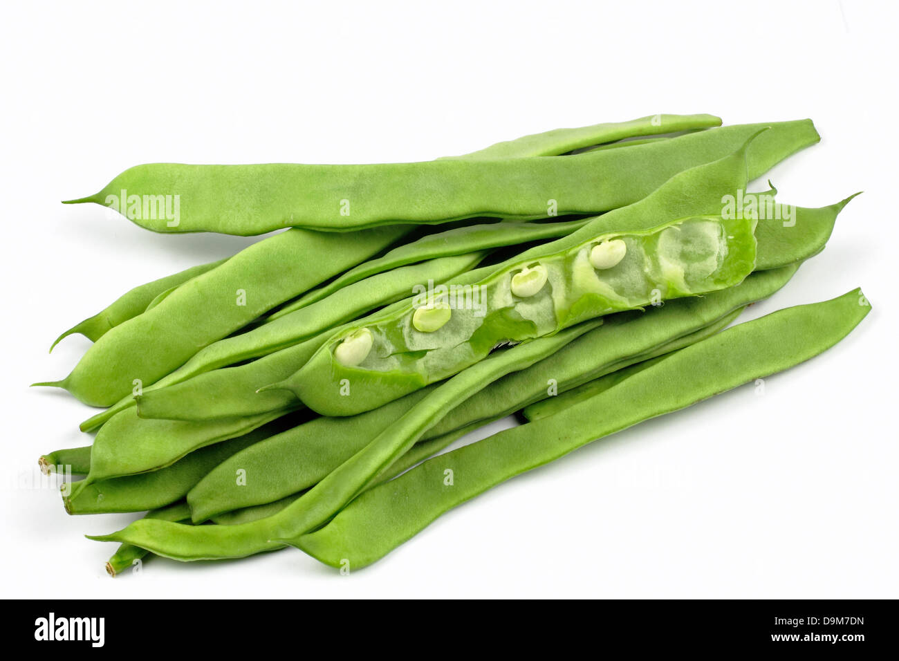 The common bean hi-res stock photography and images - Alamy