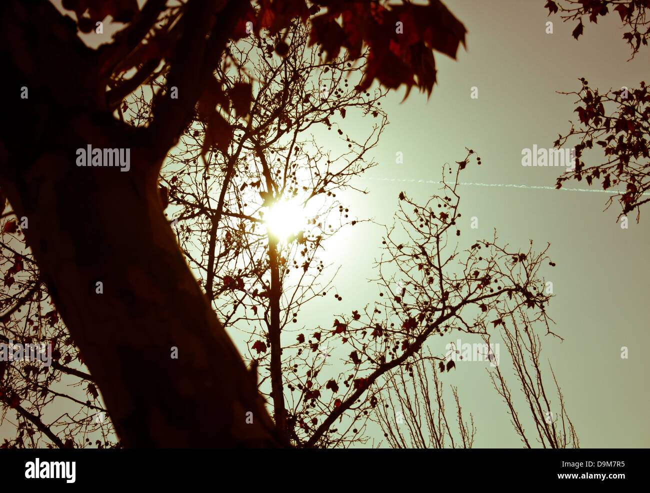 Sunset with sun rays Stock Photo - Alamy