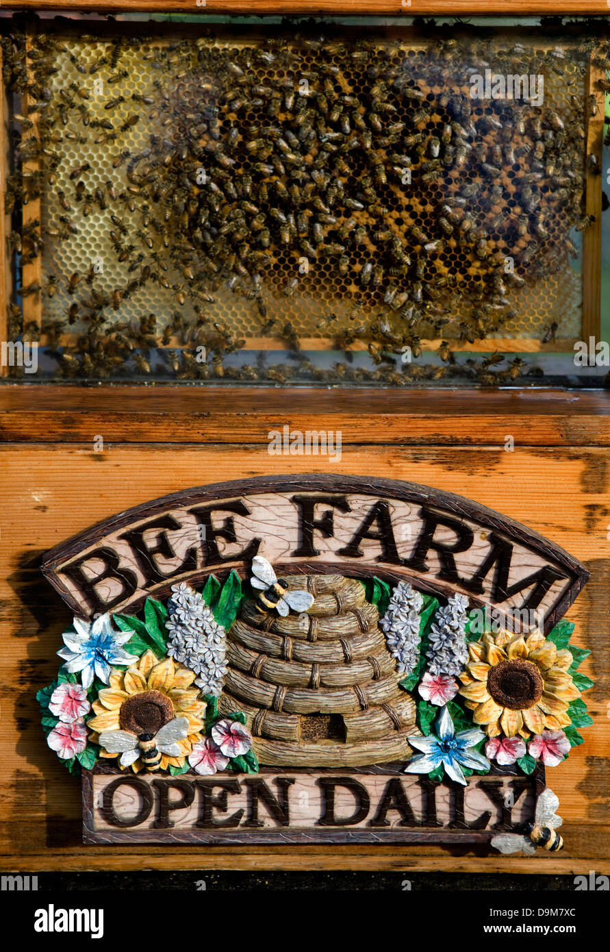 The beehive london hi-res stock photography and images - Alamy