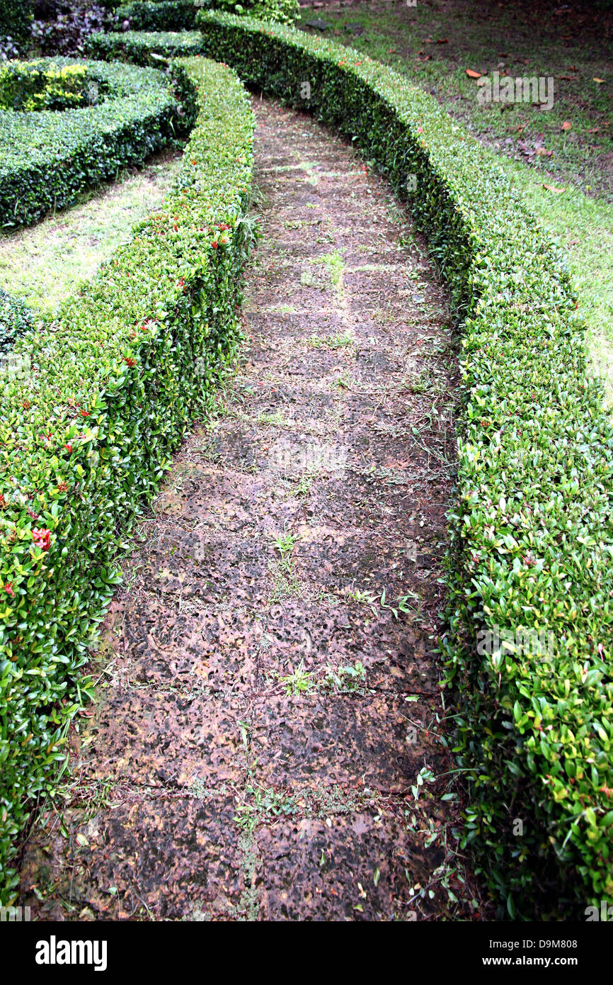 Stone paved stone paved pathway hi-res stock photography and images - Alamy