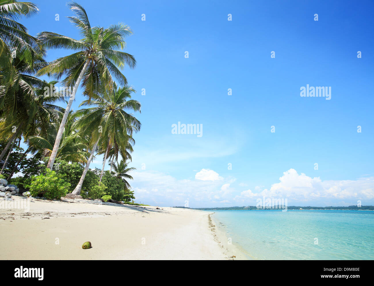 Beautiful seascape palm trees hi-res stock photography and images - Alamy