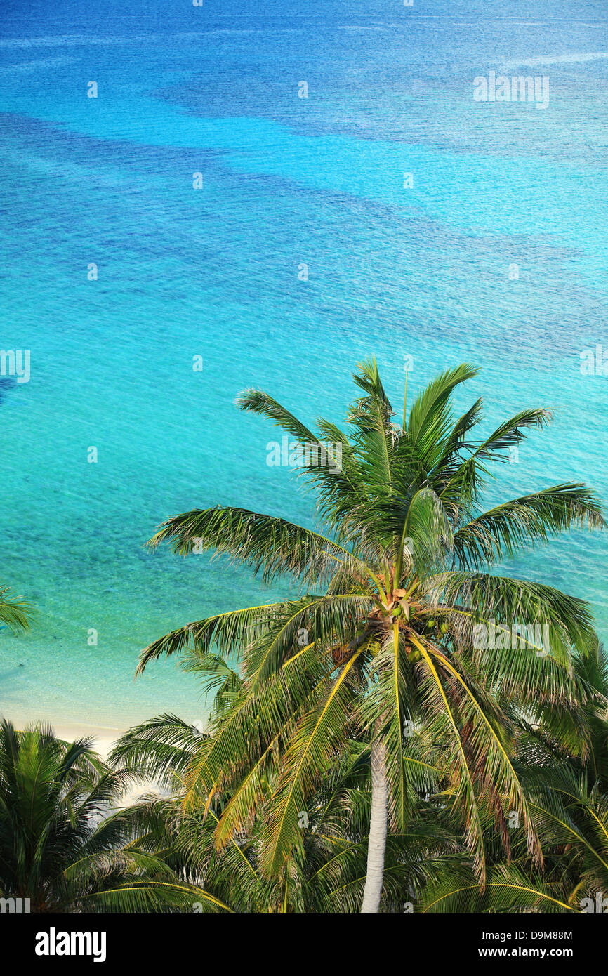 Tropical scenery of palm tree in the beach Stock Photo - Alamy