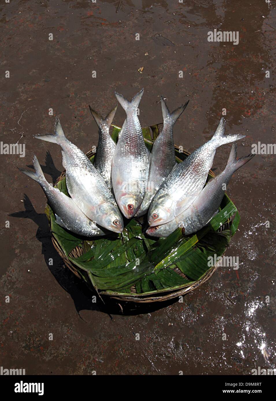 Leadfoto hi-res stock photography and images - Alamy