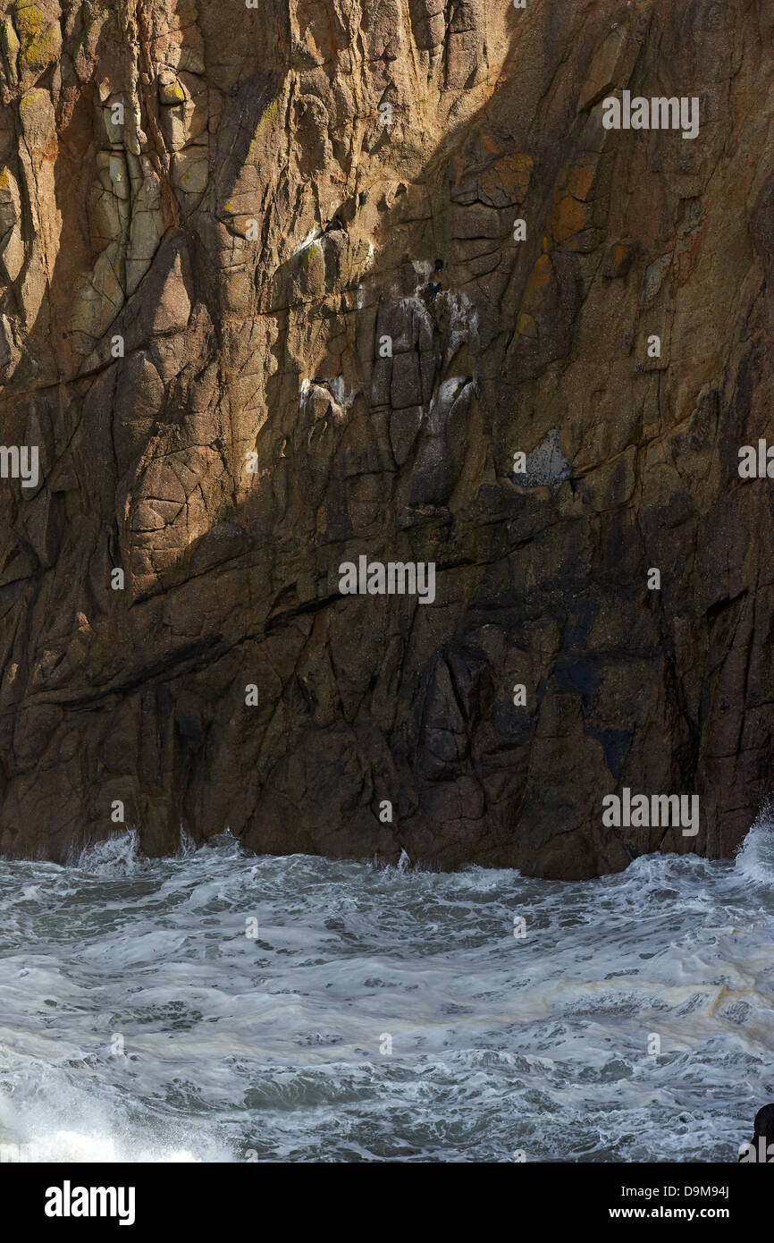 Large wave against the cliffs below nesting shags Stock Photo - Alamy