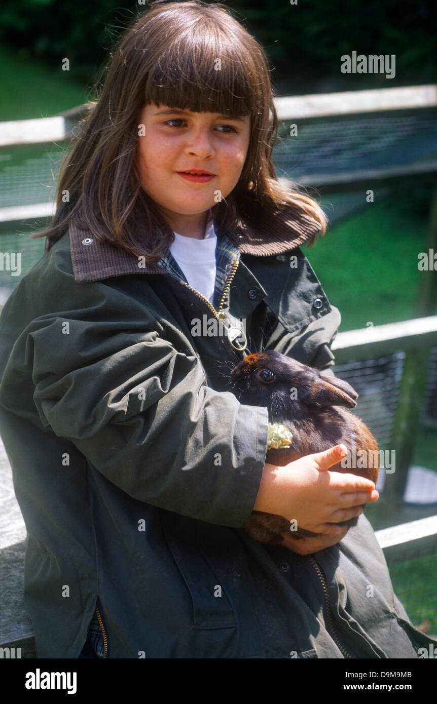 English rabbit hi-res stock photography and images - Alamy