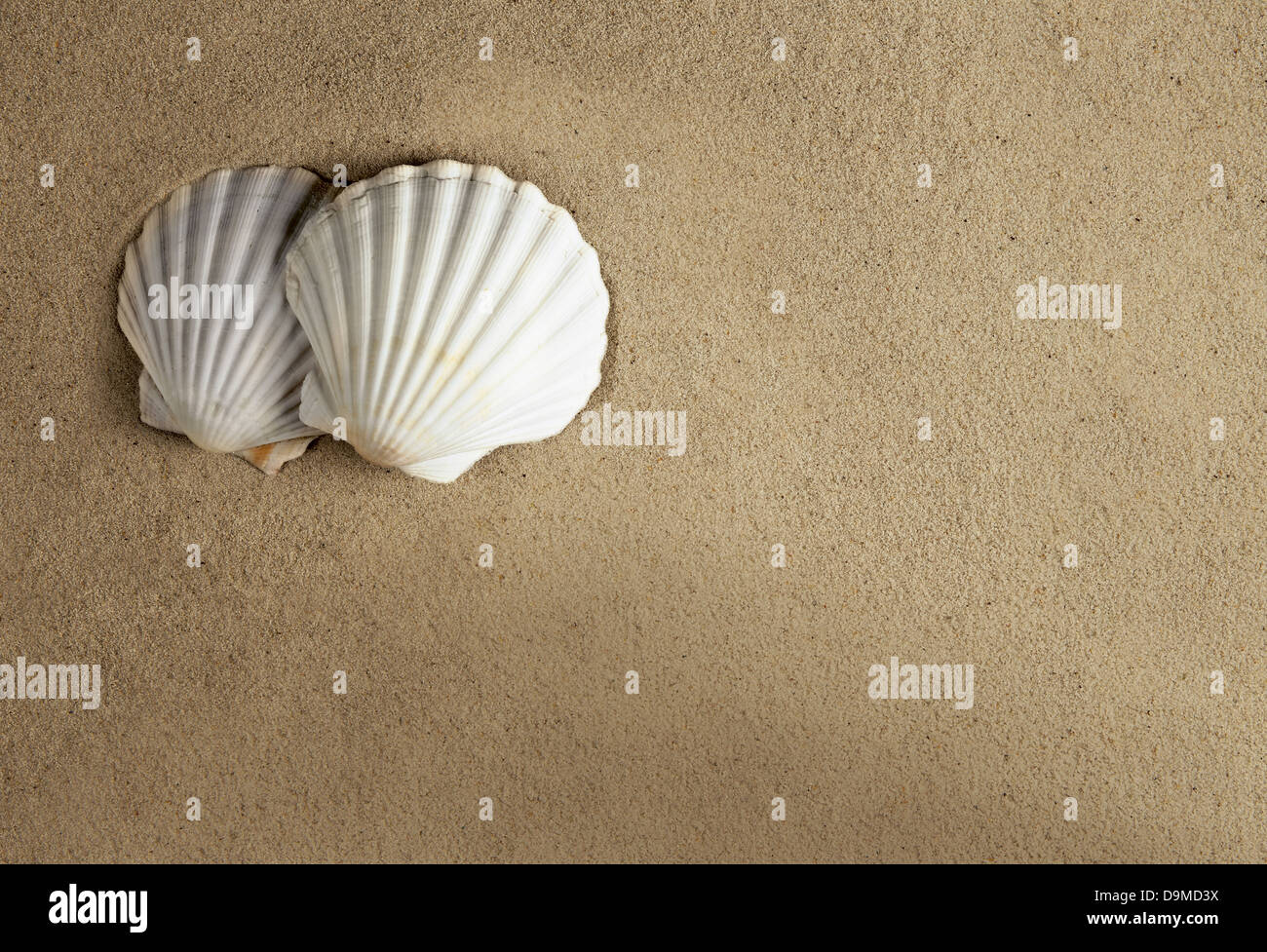 apparel backdrop background blue canvas closeup cloth clothing color ...