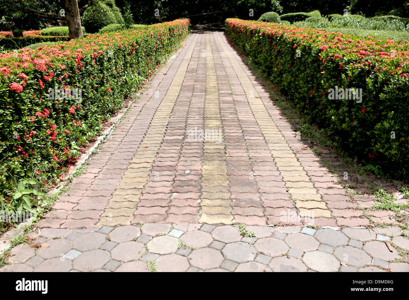 The Walk in Park and Pathway paved with bricks Stock Photo - Alamy