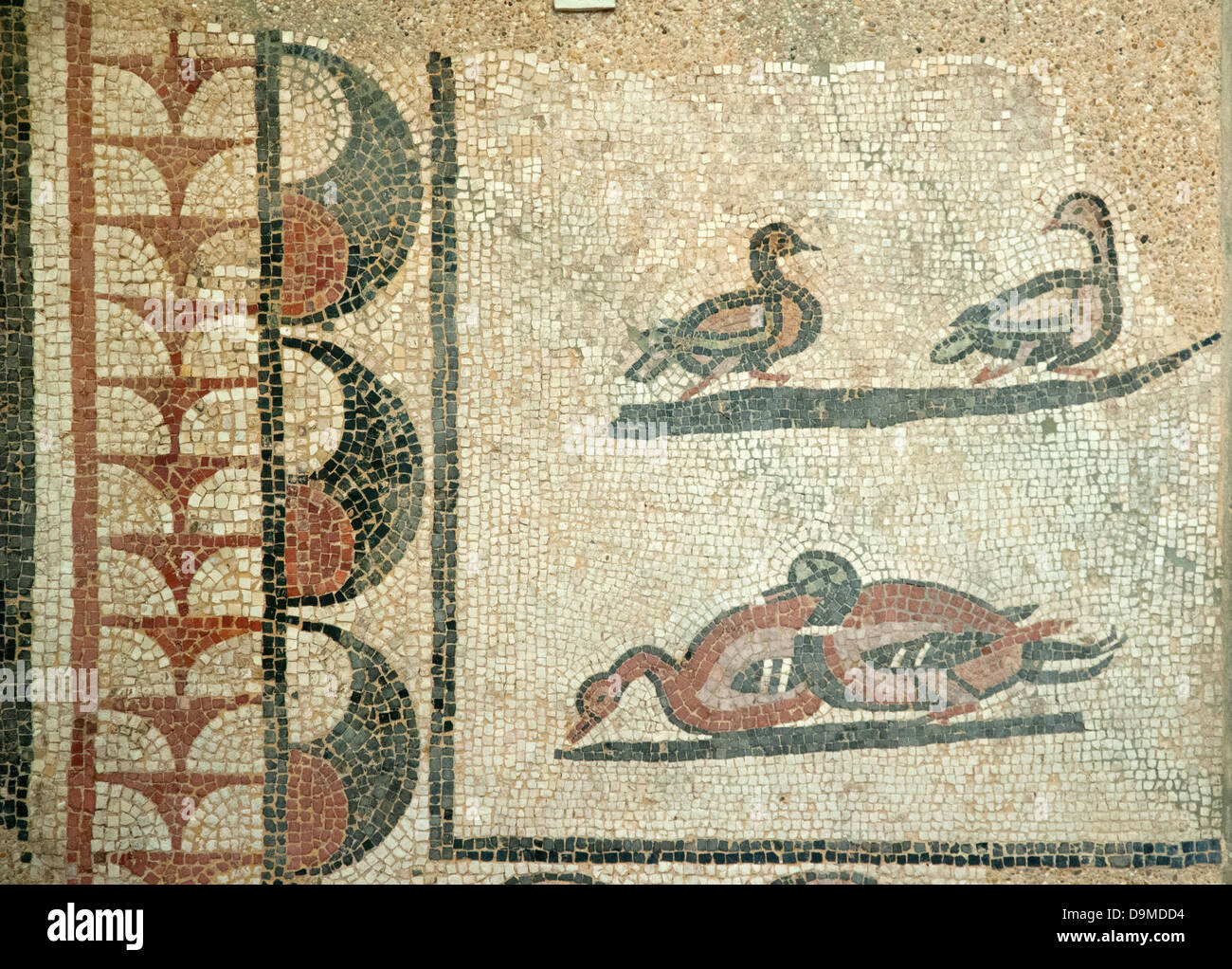 Duck mosaic hi-res stock photography and images - Alamy