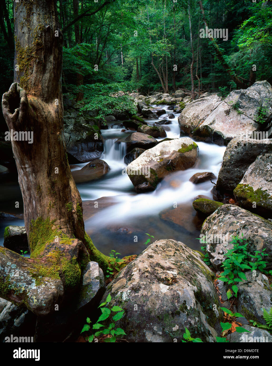 Tennessee north carolina border hi-res stock photography and images - Alamy