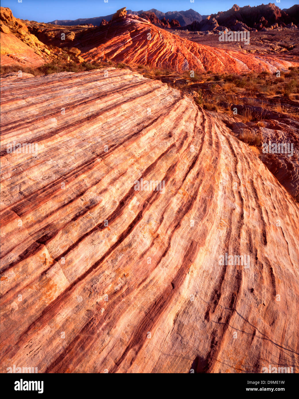 Late evening light on colorful sandstone waves in Valley of Fire State ...