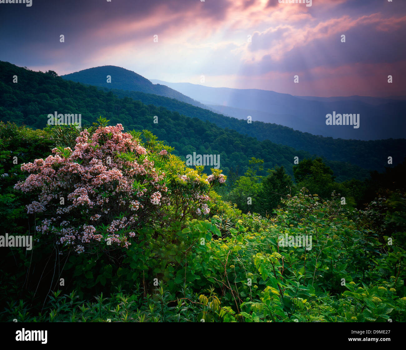 Sunrise along Blue Ridge Parkway in North Carolina Stock Photo - Alamy