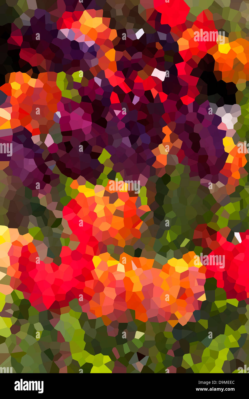 Tulips in close-up in a Todwick garden Stock Photo - Alamy