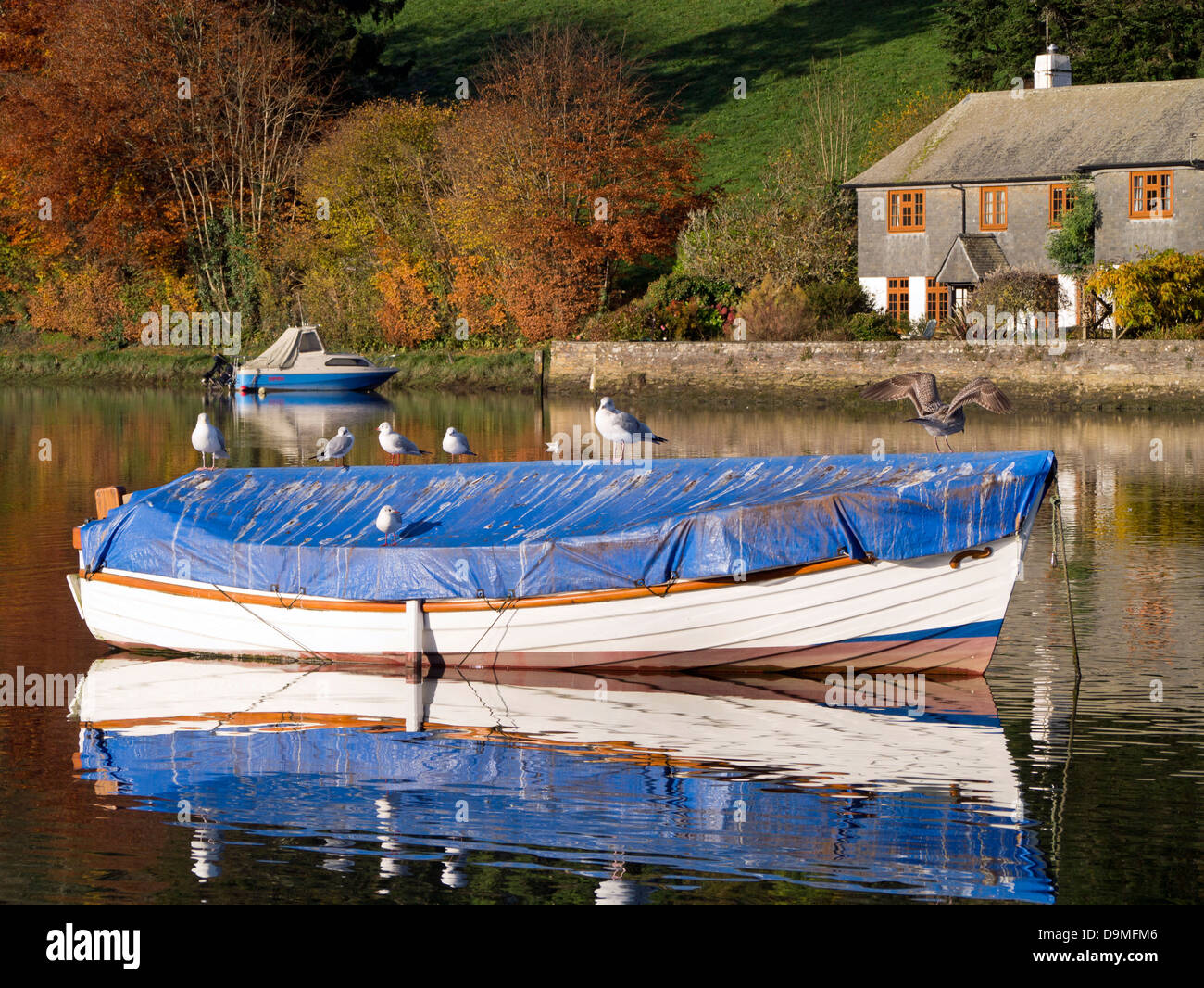 Lerryn cornwall hi-res stock photography and images - Alamy
