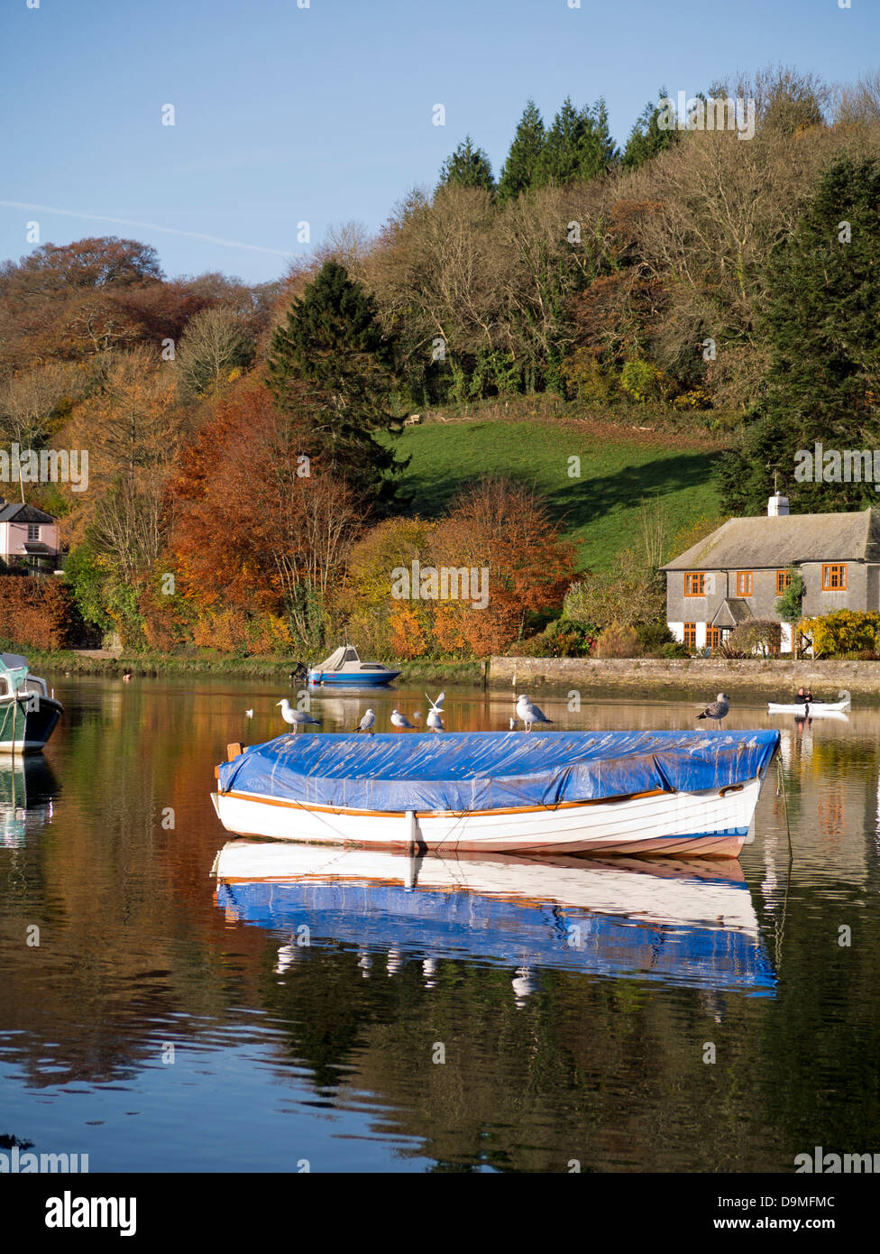 Autumn scene at Lerryn, Cornwall Stock Photo - Alamy