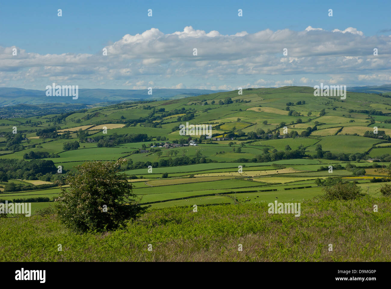 Farming landscape near the village of Hutton Roof, Cumbria, England UK ...