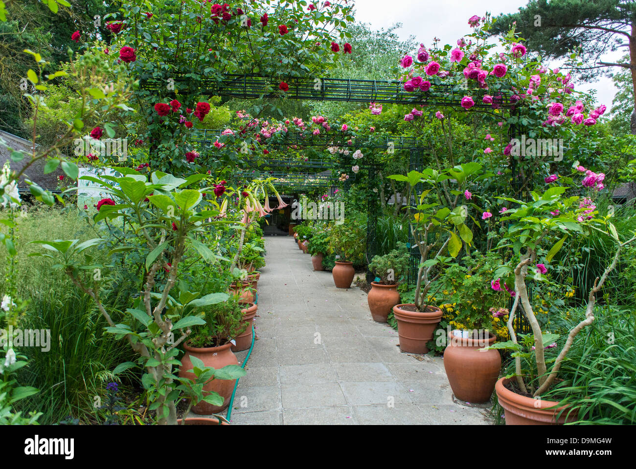 Paris, France, Landscape, Public Garden, Flower Park at the Parc Floral ...