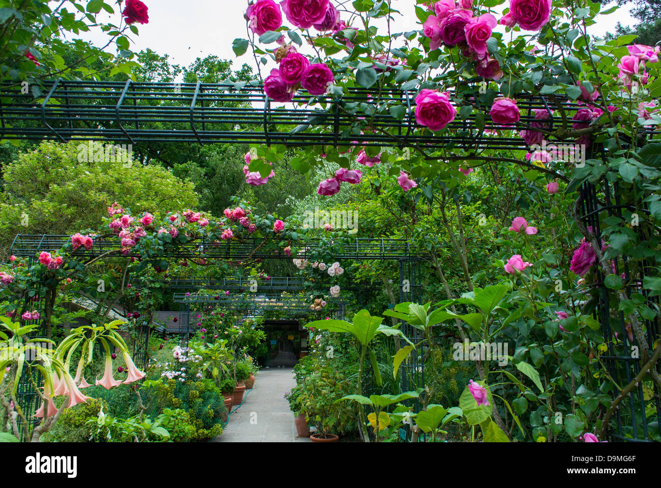 Paris, France, Landscape, Public Garden, Flower Park, Parc Floral at ...