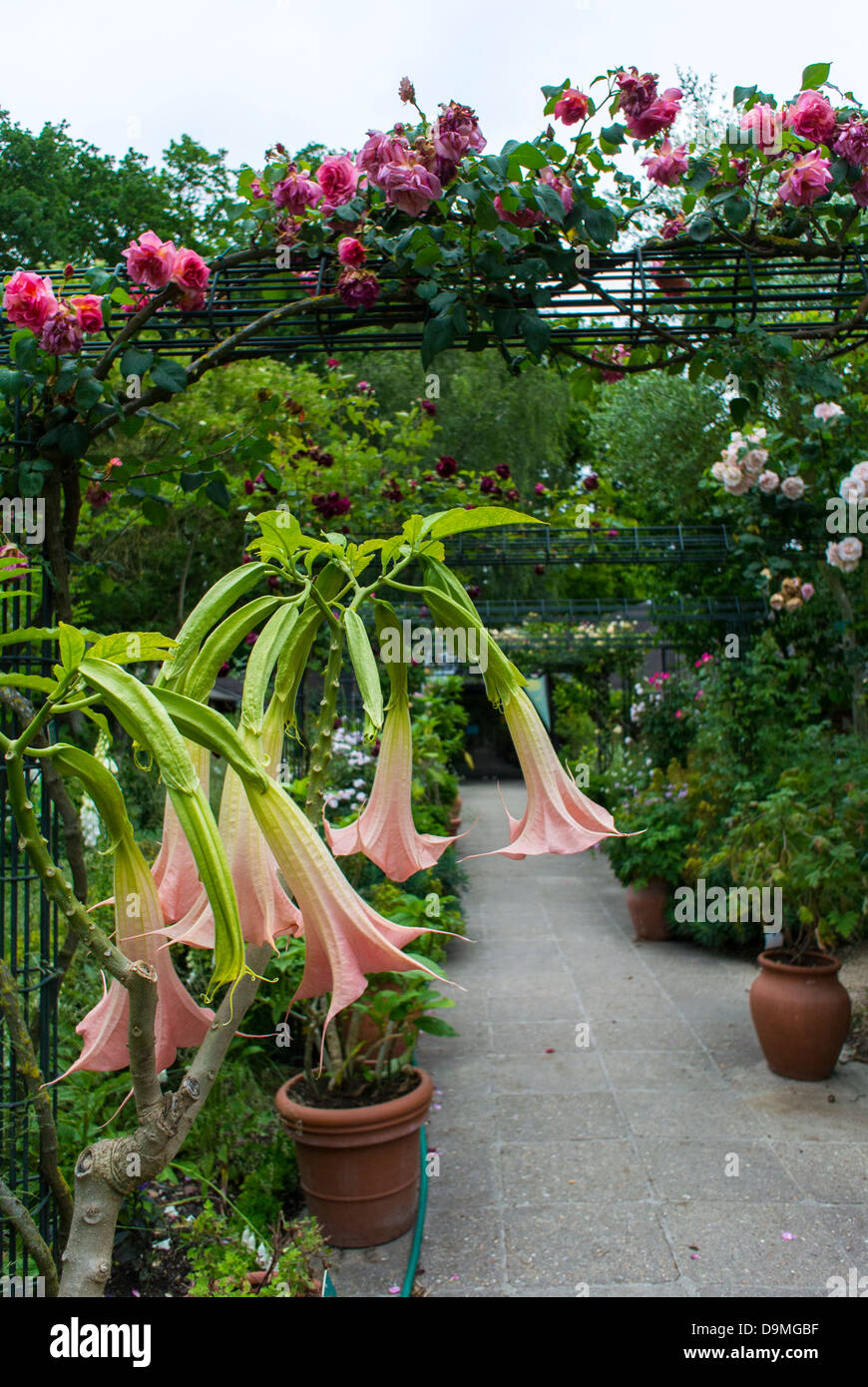 Paris, France, Landscape, Public Garden, Flower Park, Parc Floral at ...