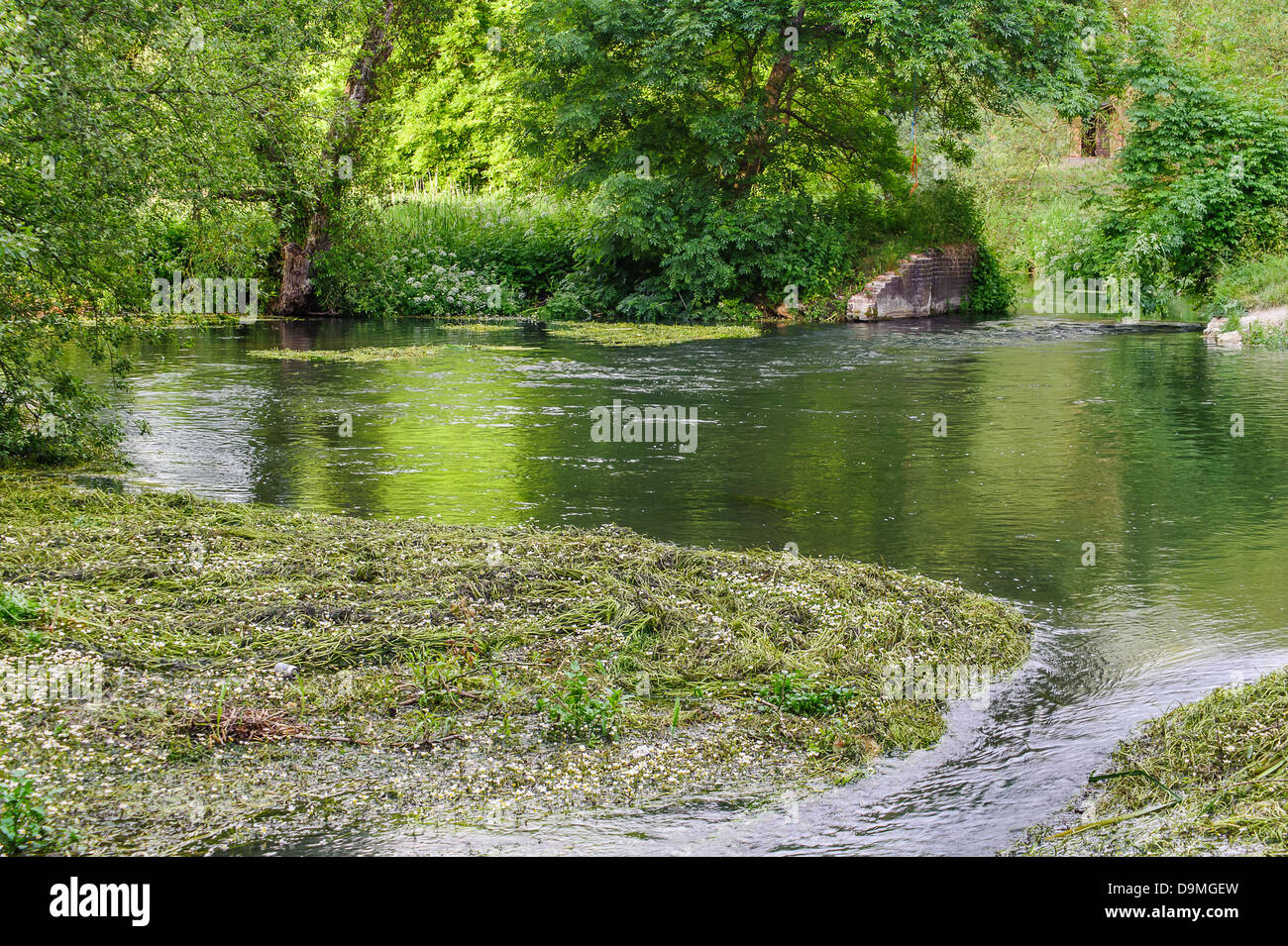 River Nadder at Figheldean Near Salisbury Wiltshire Stock Photo - Alamy