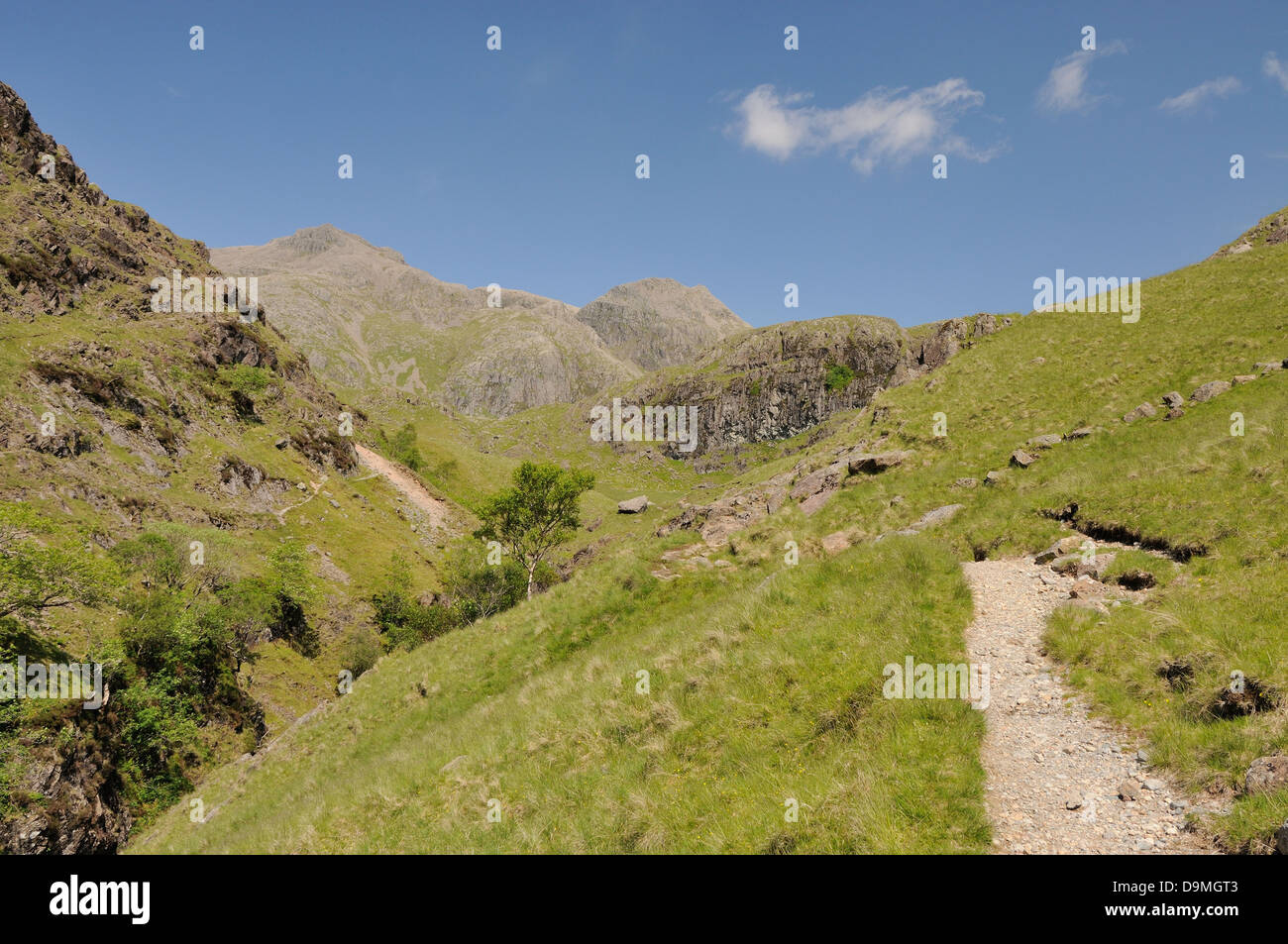 Throstle garth hi-res stock photography and images - Alamy