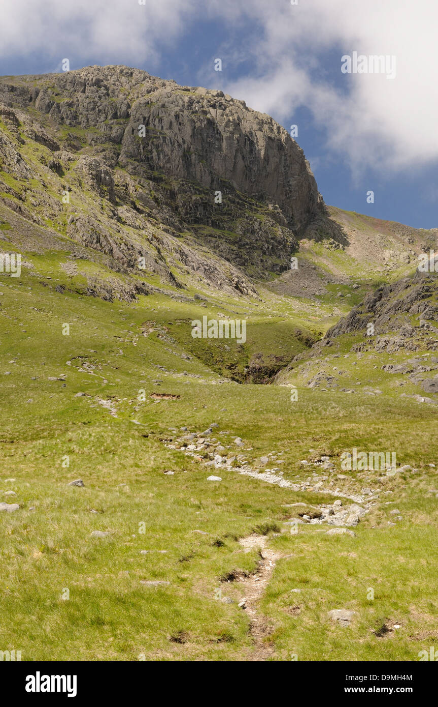 Broad stand hi-res stock photography and images - Alamy