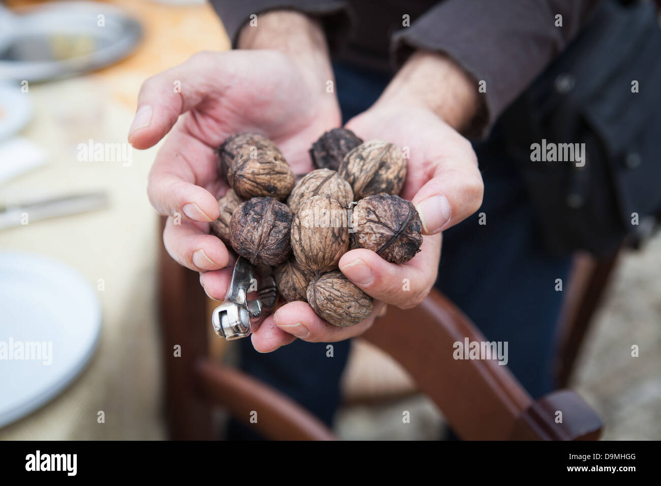 A handful of freshly picked walnuts Stock Photo - Alamy