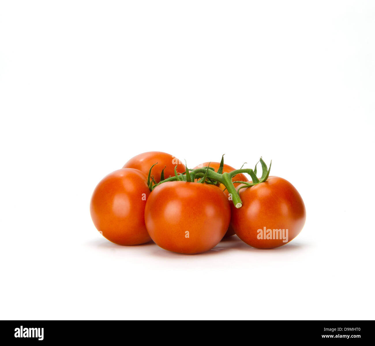 Fresh picked vine ripened tomatoes on white Stock Photo - Alamy