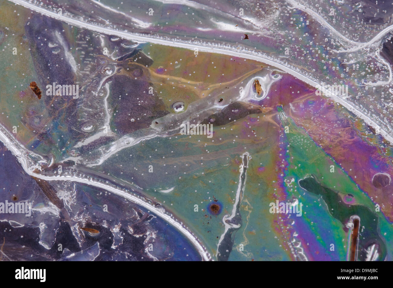 Ice on a puddle Stock Photo - Alamy