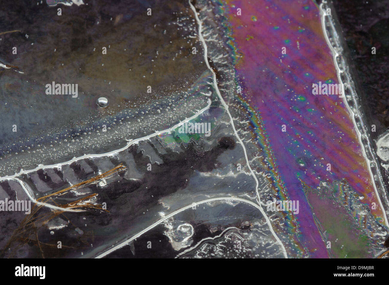 Ice on a puddle Stock Photo - Alamy