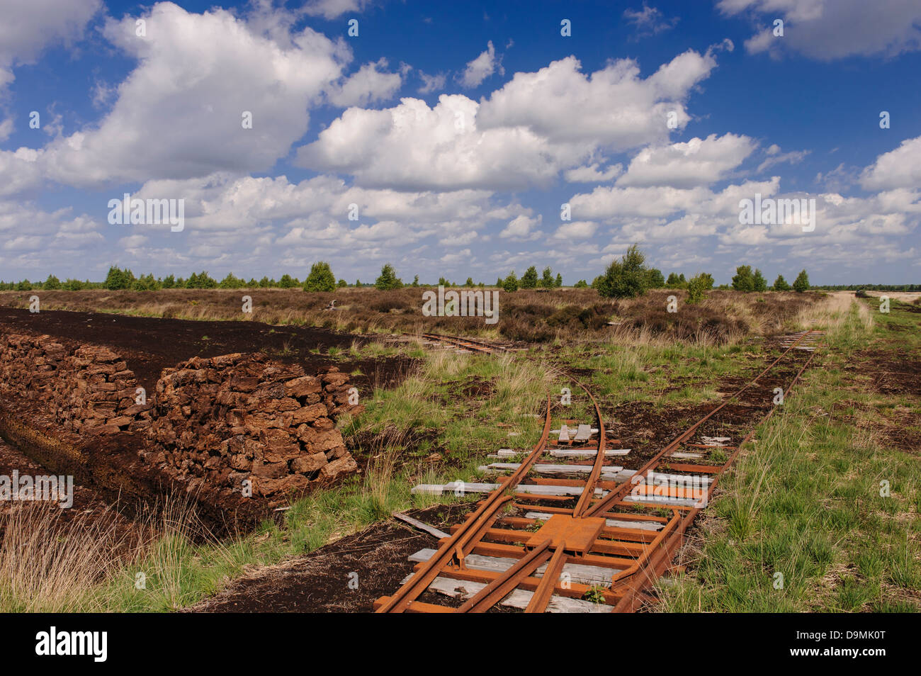 Moor s hi-res stock photography and images - Alamy