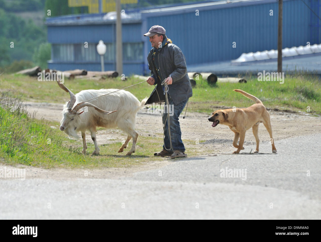 Macedonian village life hi-res stock photography and images - Alamy