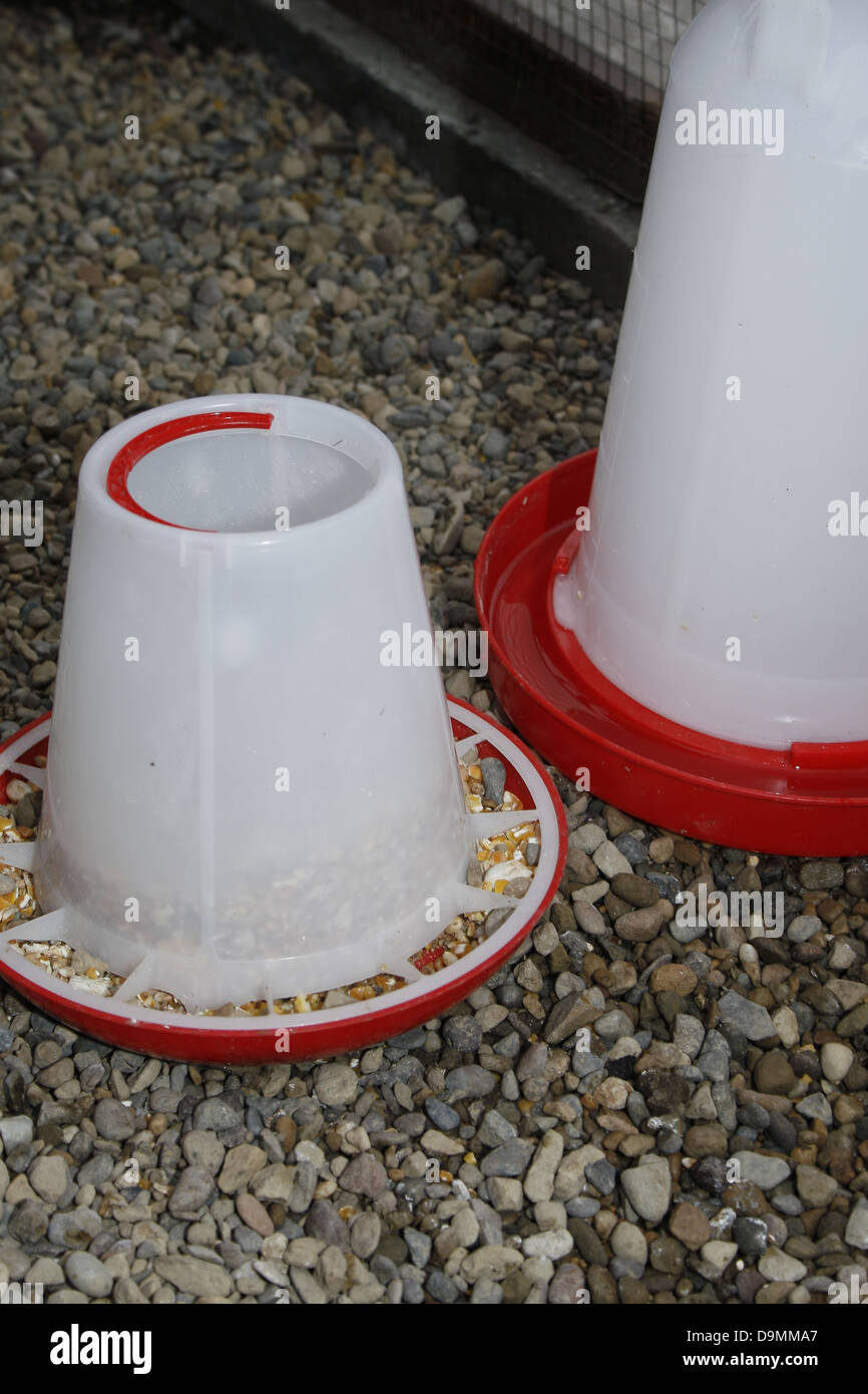 red and white plastic water and food trough in cage Stock Photo - Alamy