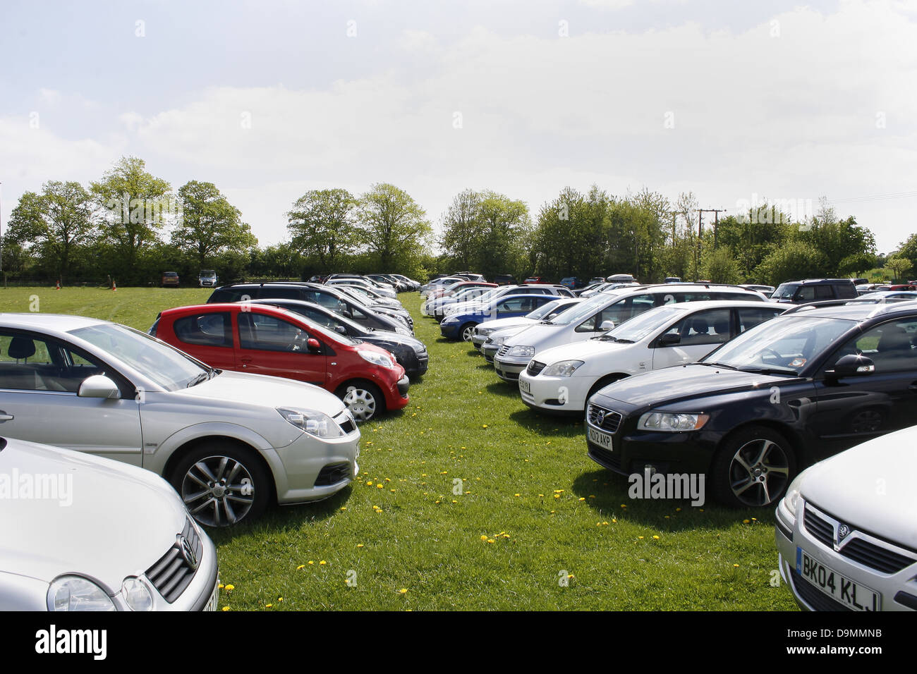 Car parked on grass hi-res stock photography and images - Alamy