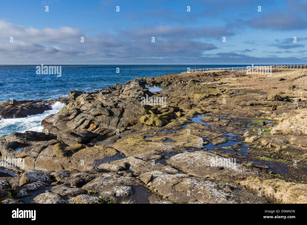 Oregon tide pools hi-res stock photography and images - Alamy
