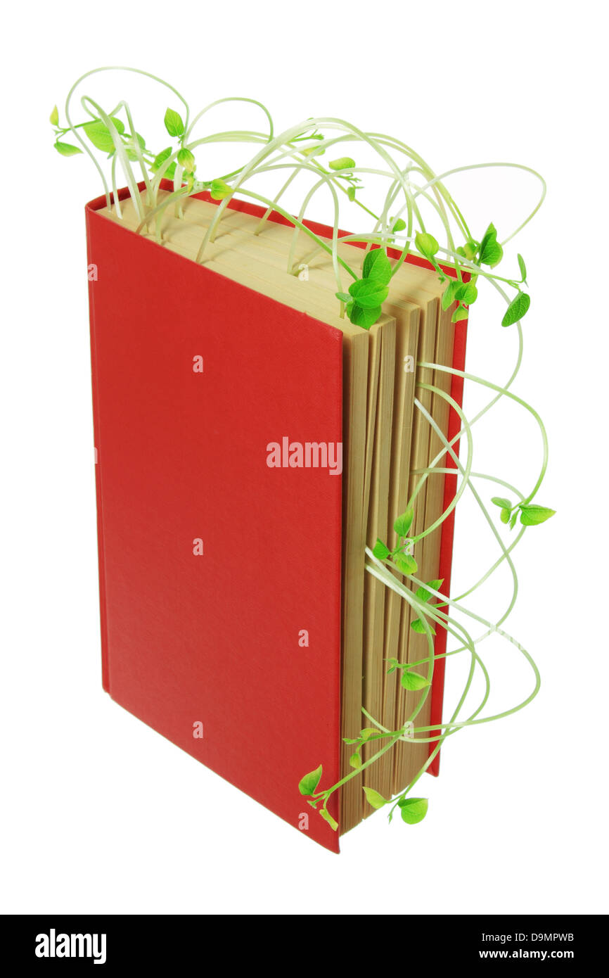 Book and Snow Pea Sprouts Stock Photo - Alamy