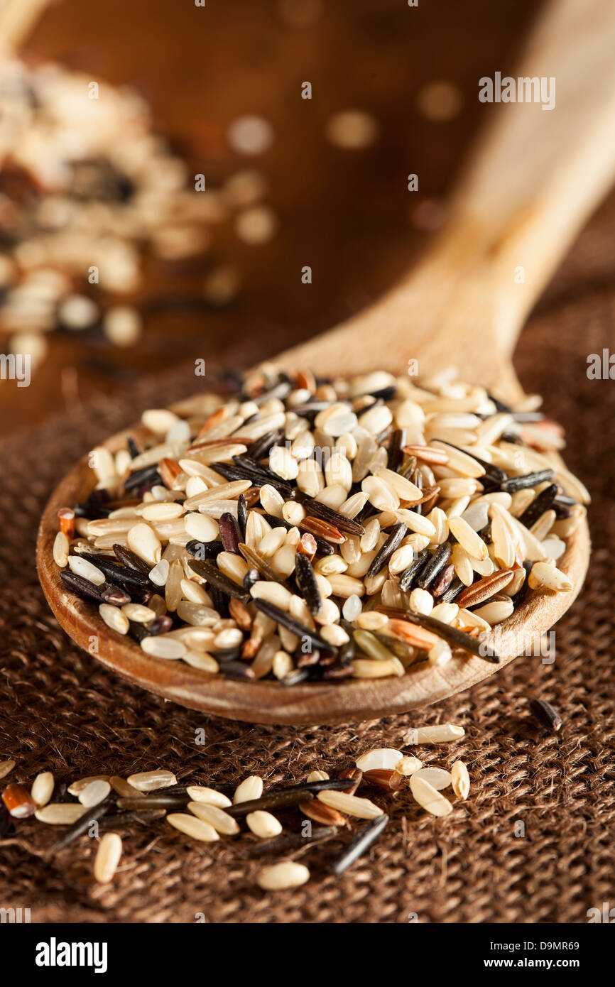 Organic Dry Multi Grain Rice against a background Stock Photo - Alamy