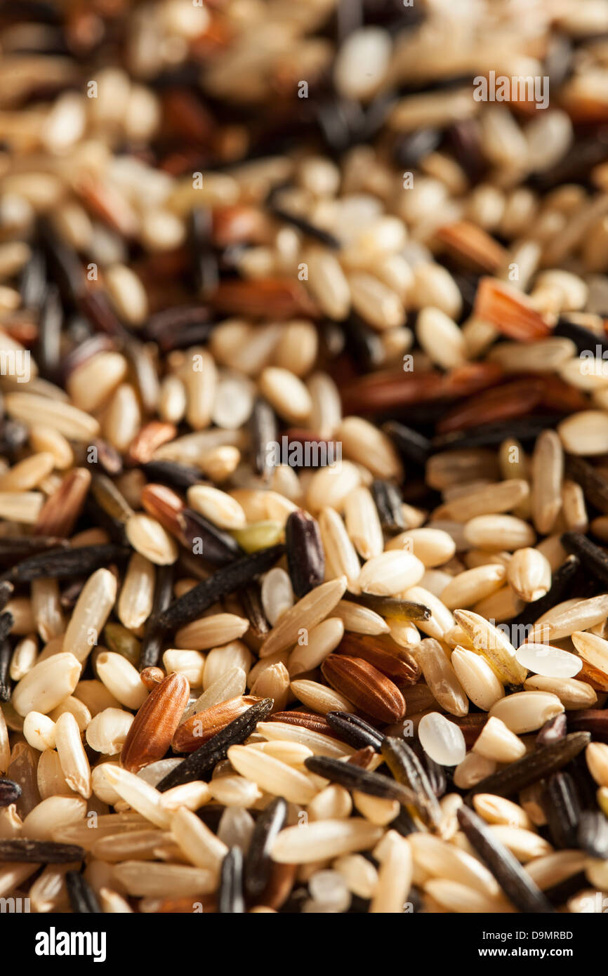 Multi grains hi-res stock photography and images - Alamy
